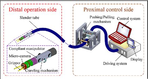 Figure 1 From Neural Networkbased Sliding Mode Control Of A Tendon