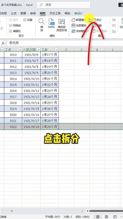 如何同时冻结表格的首行和尾行？办公技巧 Youtube