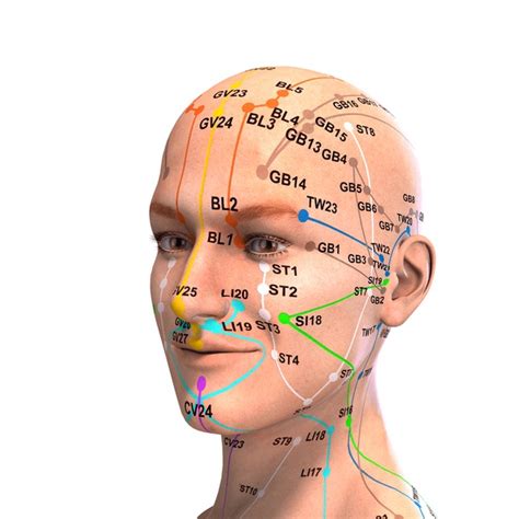 Face Acupuncture Point Diagram