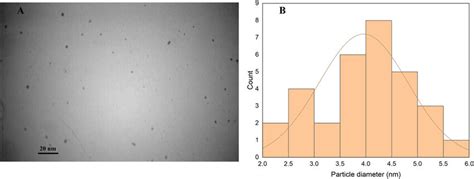 a tem image of green synthesized cds qds b particle size