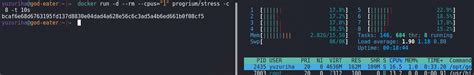 Membatasi Penggunaan Memory Dan Cpu Pada Docker Container Linuxsec