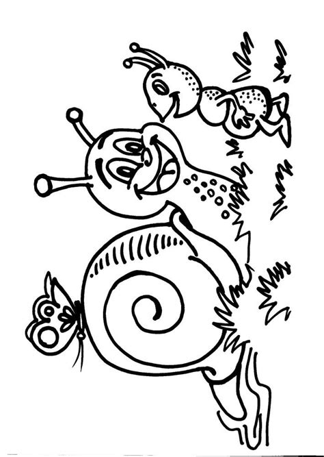 I Disegni Per Bambini Da Colorare Fare Di Una Mosca