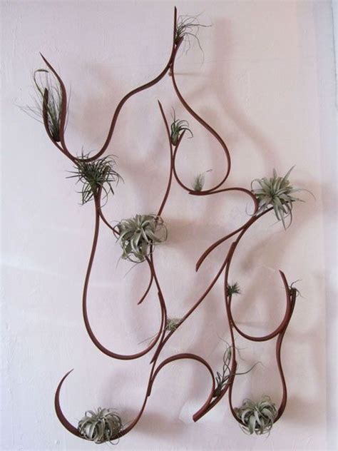 Tillandsia Unique Living Room Wall Decor