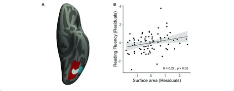 Results Of Conjunction Analysis A The Spatial Overlap White Of