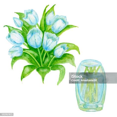 수채화 일러스트 꽃 튤립과 꽃병 꽃다발 꽃 봄 식물 구성 여름 날 정원 구도에 대한 스톡 벡터 아트 및 기타 이미지 구도 기록보관용 꽃 나무 Istock