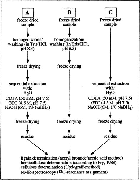 Diagram Of The Extraction Procedures For Samples A B And C Download Scientific Diagram