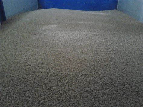 El Blog De Lechazo Charro La Diferencia Entre Cordero Y Lechazo