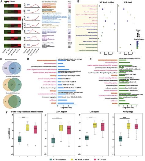 Cluster Analysis And Molecular Markers Screening A Cluster And Go