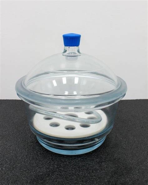 Bellco Glass Dessicator Standard 250mm Vacuum Laboratory Equipment