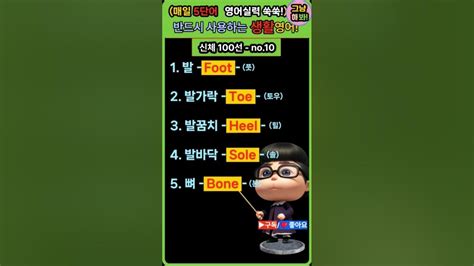 매일 영어 5단어 학습신체영어no10반드시 사용 생활영어 왕초보기초생활영어회화중년왕초보일상생활기초영어단어 생활영어여행영어영어공부영어회화영어단어영어학습