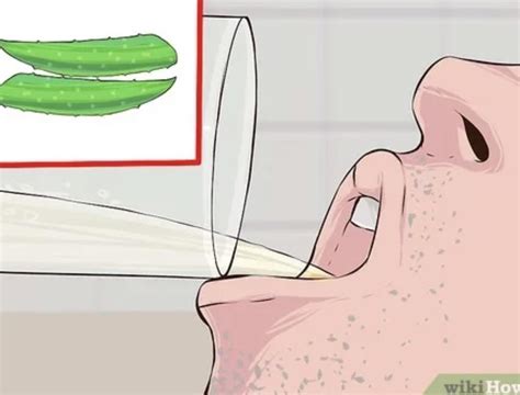 How To Have Sex With A Plant R Disneydilemma