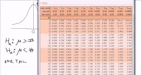 Full T Table Statistics