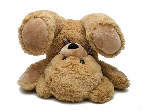 Teddy Bear Funny Quotes Quotesgram