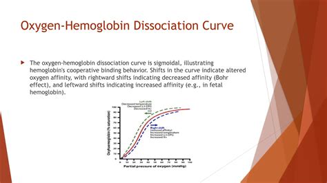 Introduction To Hemoglobin Synthesis Working Bohrs Effect Types Ppt