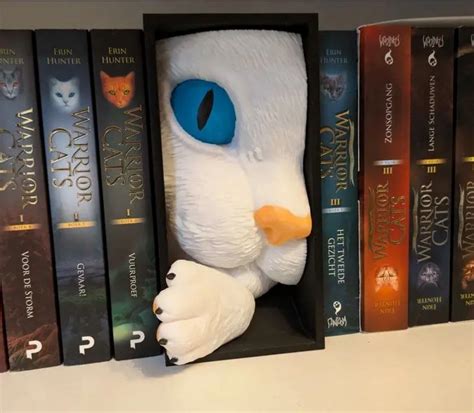 Cats Curiosity Book Nook 3d Print Model Download Free