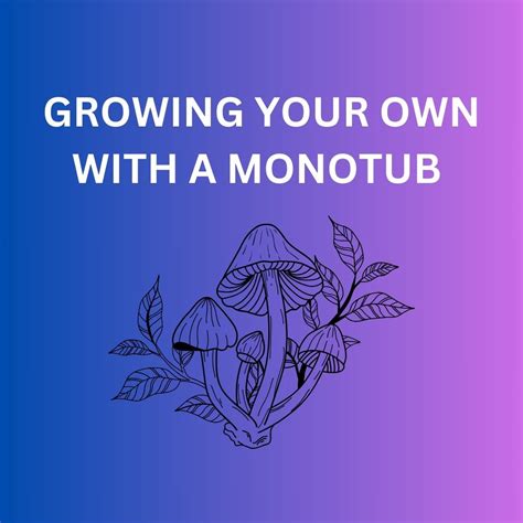 Growing Your Own With A Monotub Maine Fungi Fest