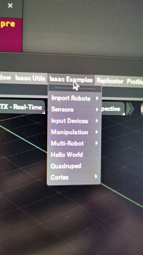 no option of rl examples in isaac examples isaac sim nvidia