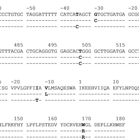 Nucleotide Sequence Alignment Of Position To Exon Of