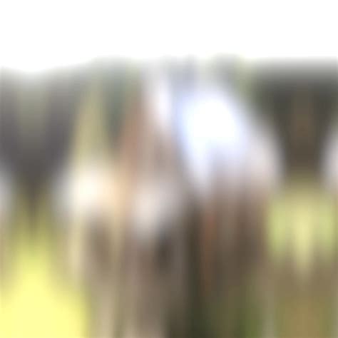 Get The Original Bug In Guide By Navy Seal Joel Lambert Get The