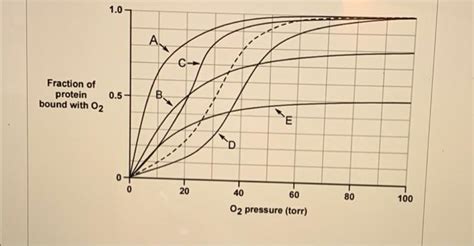 Solved Below Are Five Oxygen Binding Affinity Curves For
