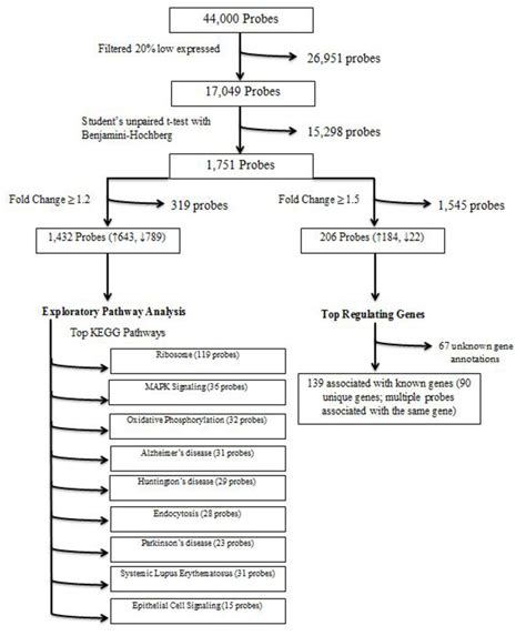 Flow Diagram Of The Steps Used In The Analysis Of The Microarray Data