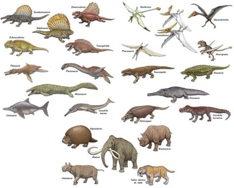 An Image Of Different Types Of Dinosaurs