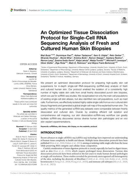 Pdf An Optimized Tissue Dissociation Protocol For Single Cell Rna Sequencing Analysis Of Fresh