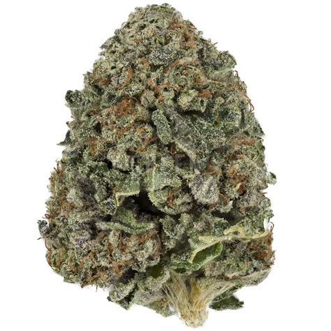 Buy Chemo Kush Online Canada The Grow House
