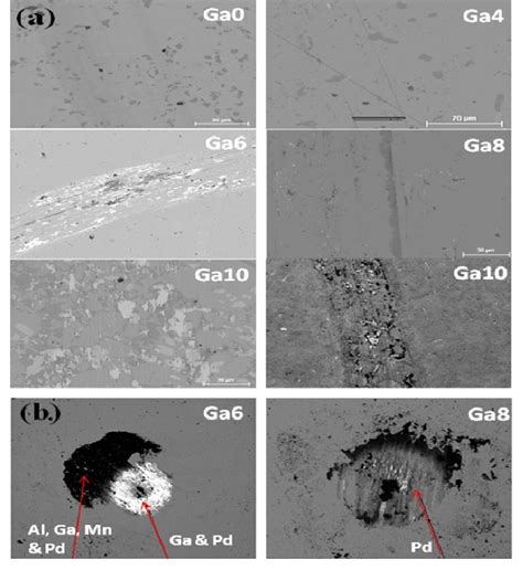 Sem Micrographs Of The Wear Tracks On The Sample Surface A And