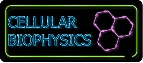 Cellular Biophysics Tampere Universities