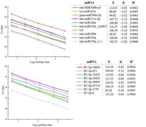 Amplification Efficiency Curves Download Scientific Diagram
