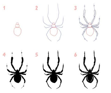How To Draw A Spider Tutorials To Learn From