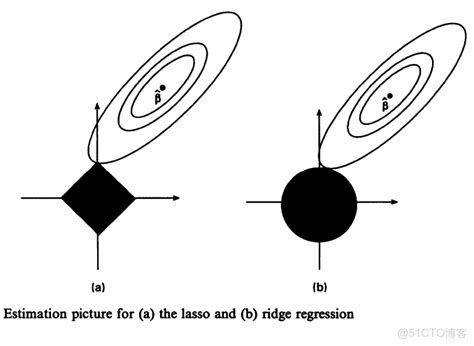 Lasso筛选变量python Lasso筛选变量rmob6454cc6f4a4e的技术博客51cto博客 Lasso筛选变量python Lasso筛选变量rmob6454cc6f4a4e的技术博客51cto博客