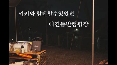 어렵게 찾은 애견동반캠핑장 호수뷰 캠핑장 캠핑브이로그 안성용설호수캠핑장 애견캠핑 아틀라스하우스피칭 에어텐트 4k Youtube