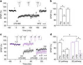 Low Frequency Stimulation Induces Input Selective And Reversible
