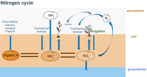 How Much Nitrogen Is In Your Irrigation Water Agriculture Water Quality