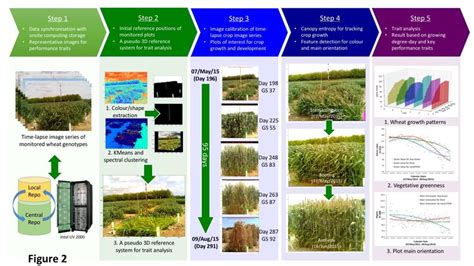 The High Throughput Analysis Pipeline For Processing And Quantifying