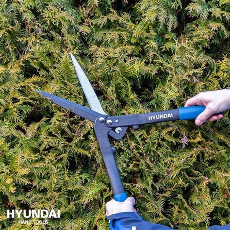 Hyundai hedge trimmer carbon 55cm - toolsidee.ie
