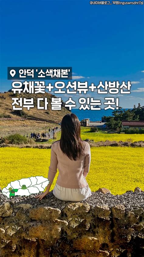 제주플래닛 제주맛집 제주여행 제주카페 제주핫플 곧 있으면 만나볼 수 있는 유채꽃오션뷰산방산뷰 카페 탁 트인 2층 루프탑에서 노오란 유채꽃과 오션뷰를 만끽할 수