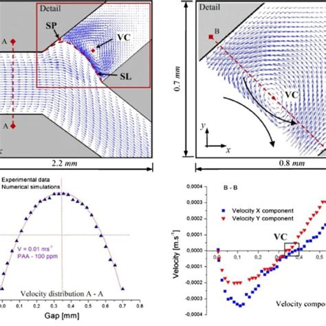 Experimental Velocity Distributions In A Microbifurcation With A Close Download Scientific