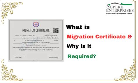College Degree Vs Certificate Accreditation Certificate Gepea Eu