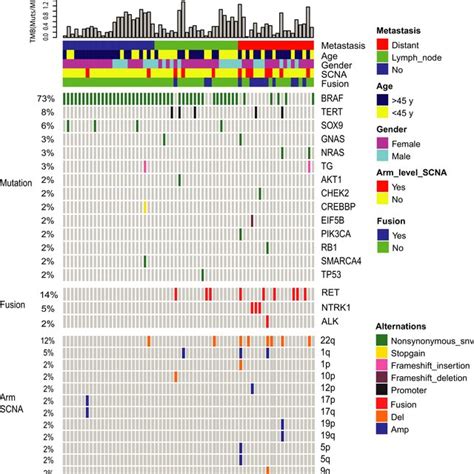 The Genetic Landscape For 66 Papillary Thyroid Carcinoma Ptc Cases