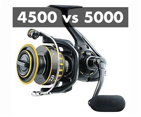 Daiwa Bg 4500 Vs 5000 4 Important Differences