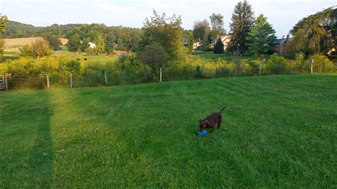 Orchard Evolution Wilbourn House Orchard