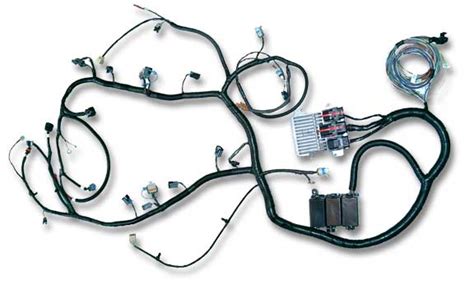 X LS LS LS Stand Alone Engine Harness For E ECU CPW LSX Harness LSX Swap Harness