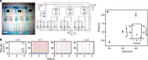 Microfluidic Oscillator Array A Photograph And Circuit Diagram Of Download Scientific