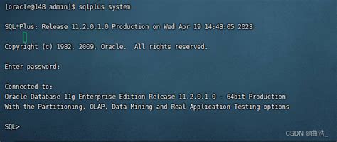 Linux（centos 65） 安装 Oracle 11g步骤