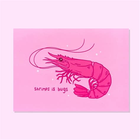 Shrimps Is Bugs Postcard Print — Vaguely Original