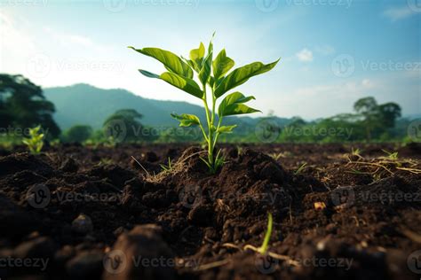 AI Generated Environmental Stewardship A Tree Being Planted To Contribute To Climate Change