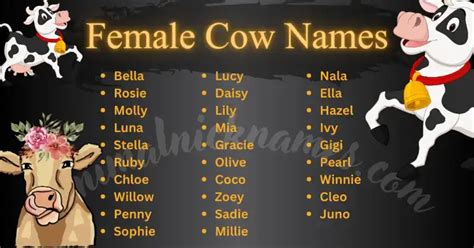 Classic Cow Names 100 Unique And Fun Choices For Your Cow